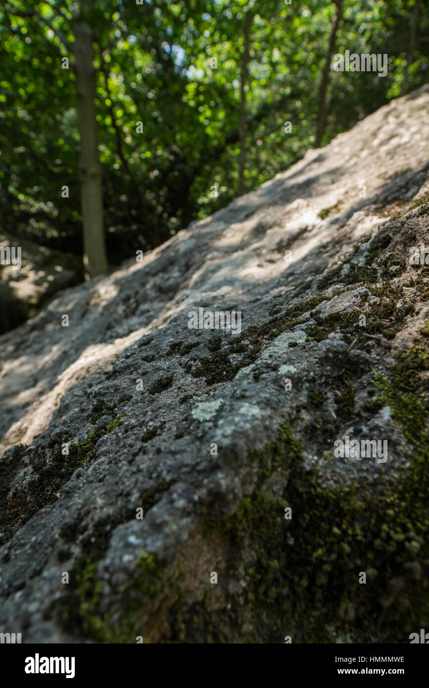 Park in Livadiya palace in Crimea, Russia Stock Photo - Alamy