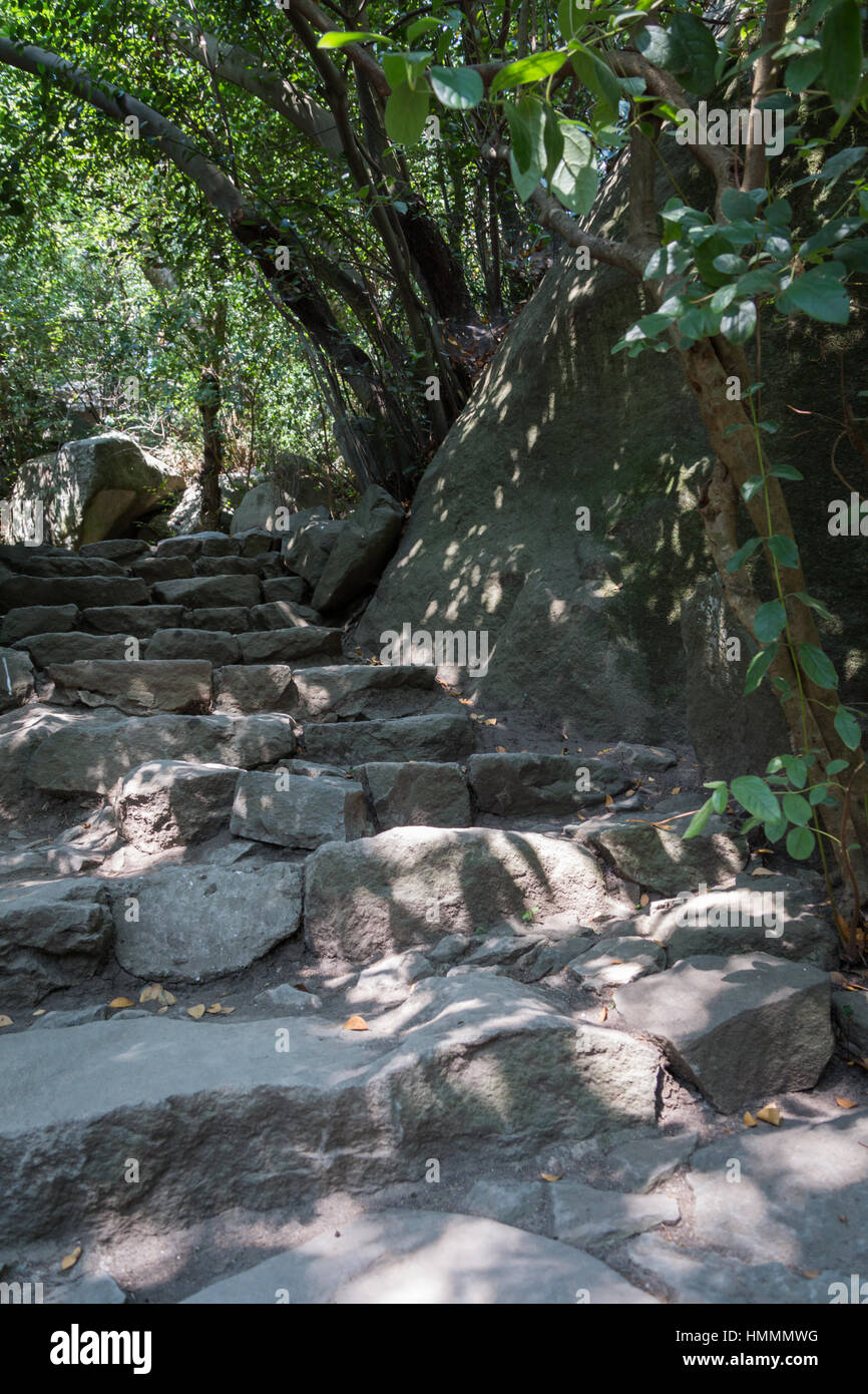 Park in Livadiya palace in Crimea, Russia Stock Photo - Alamy