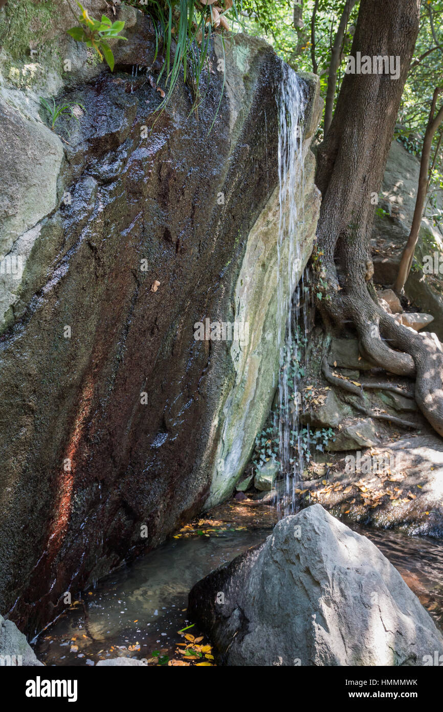 Park in Livadiya palace in Crimea, Russia Stock Photo - Alamy