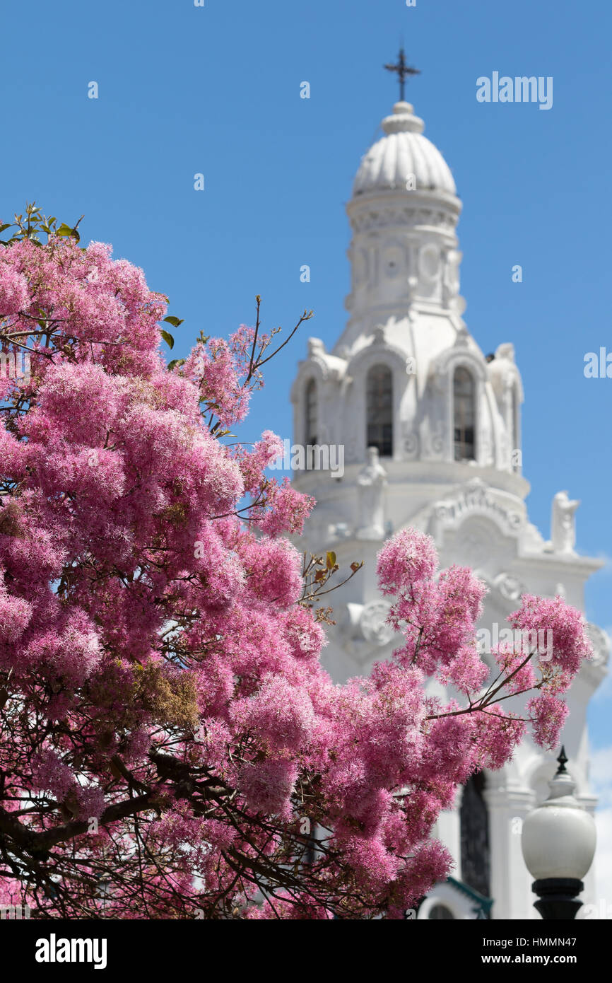 Church tower with a beautiful flowering tree in the foreground Stock ...