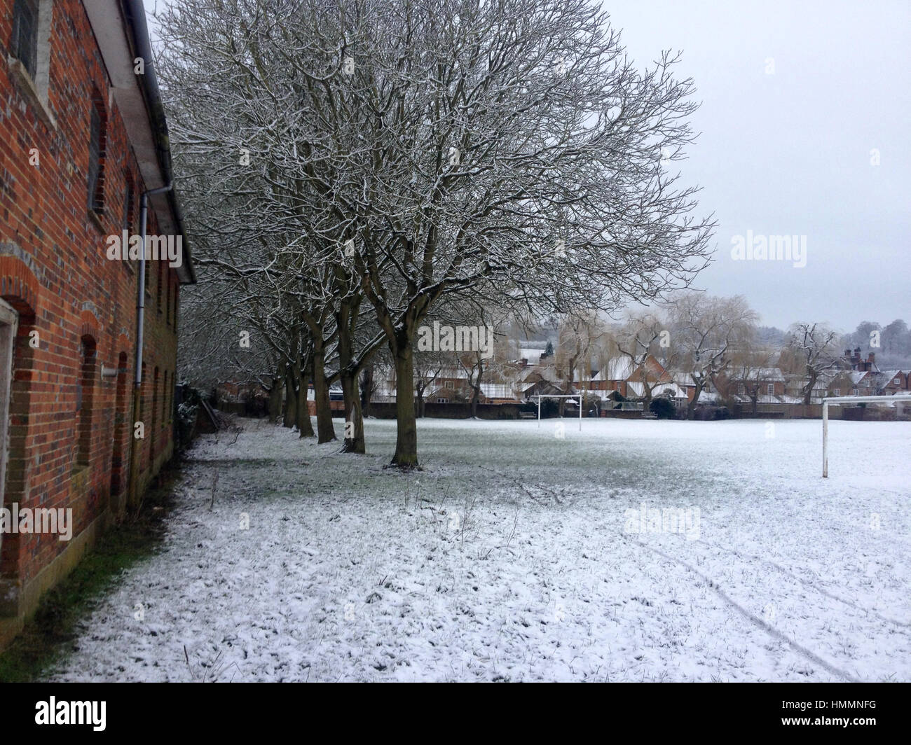Snow-covered walnut trees on Barn Meadow in Old Amersham, Chiltern ...