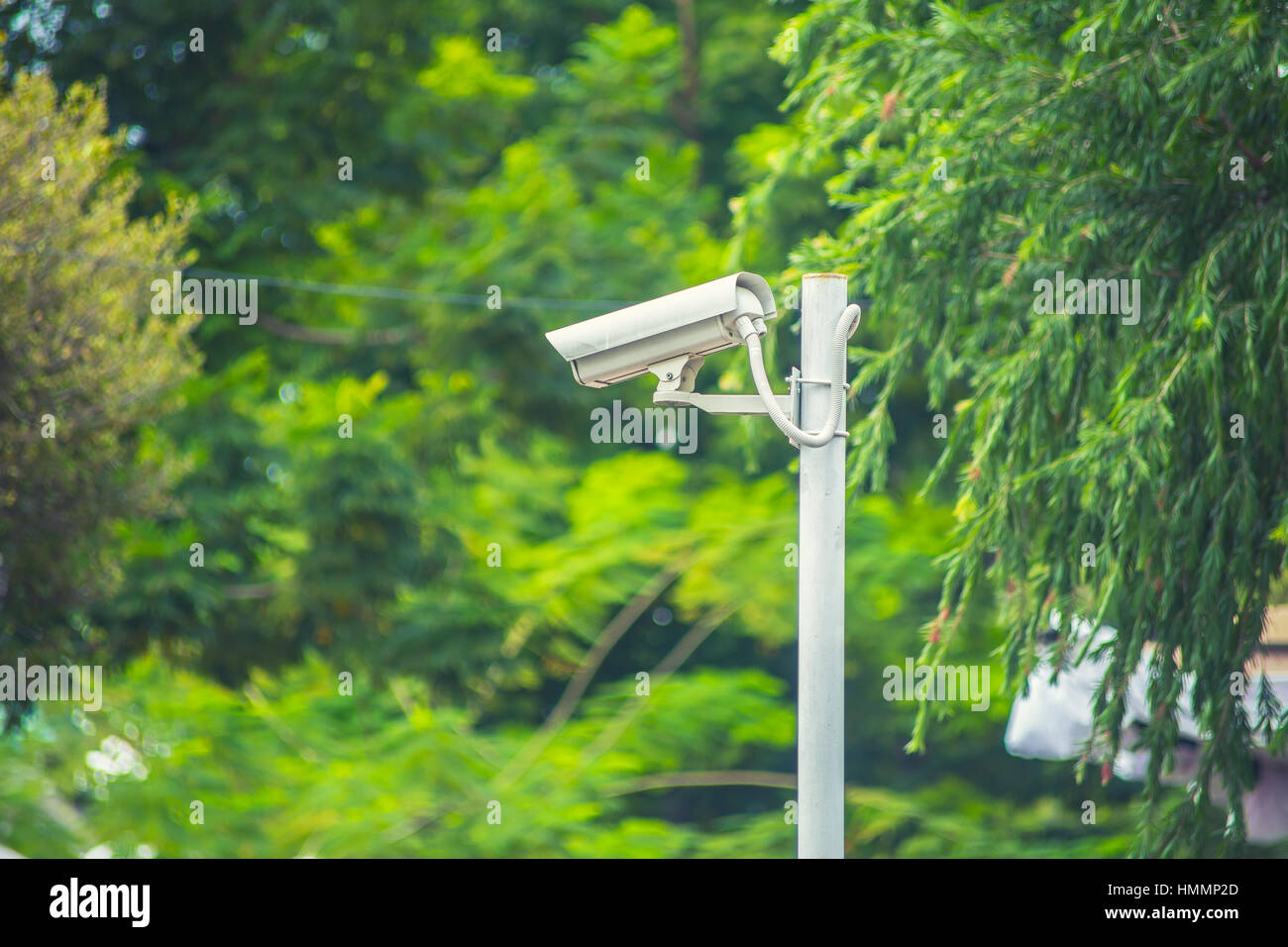 cctv camera in the garden green park background Stock Photo - Alamy