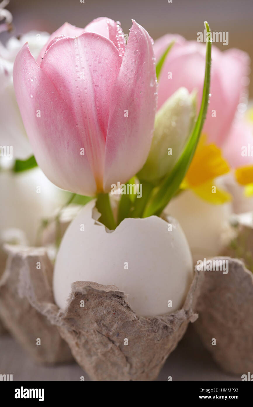 Easter decoration with flowers Stock Photo - Alamy