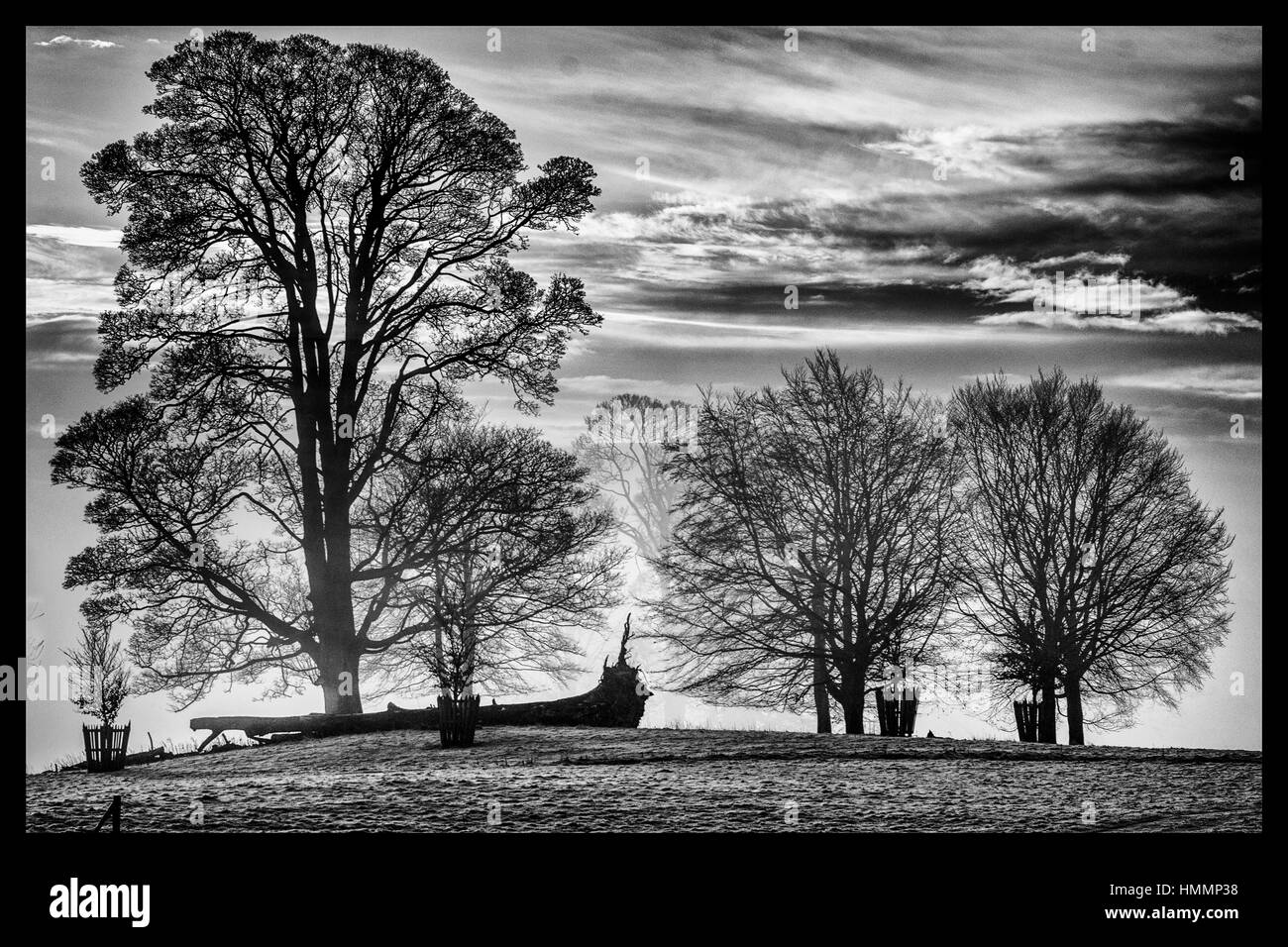 dawn sky just before sunrise Stock Photo - Alamy