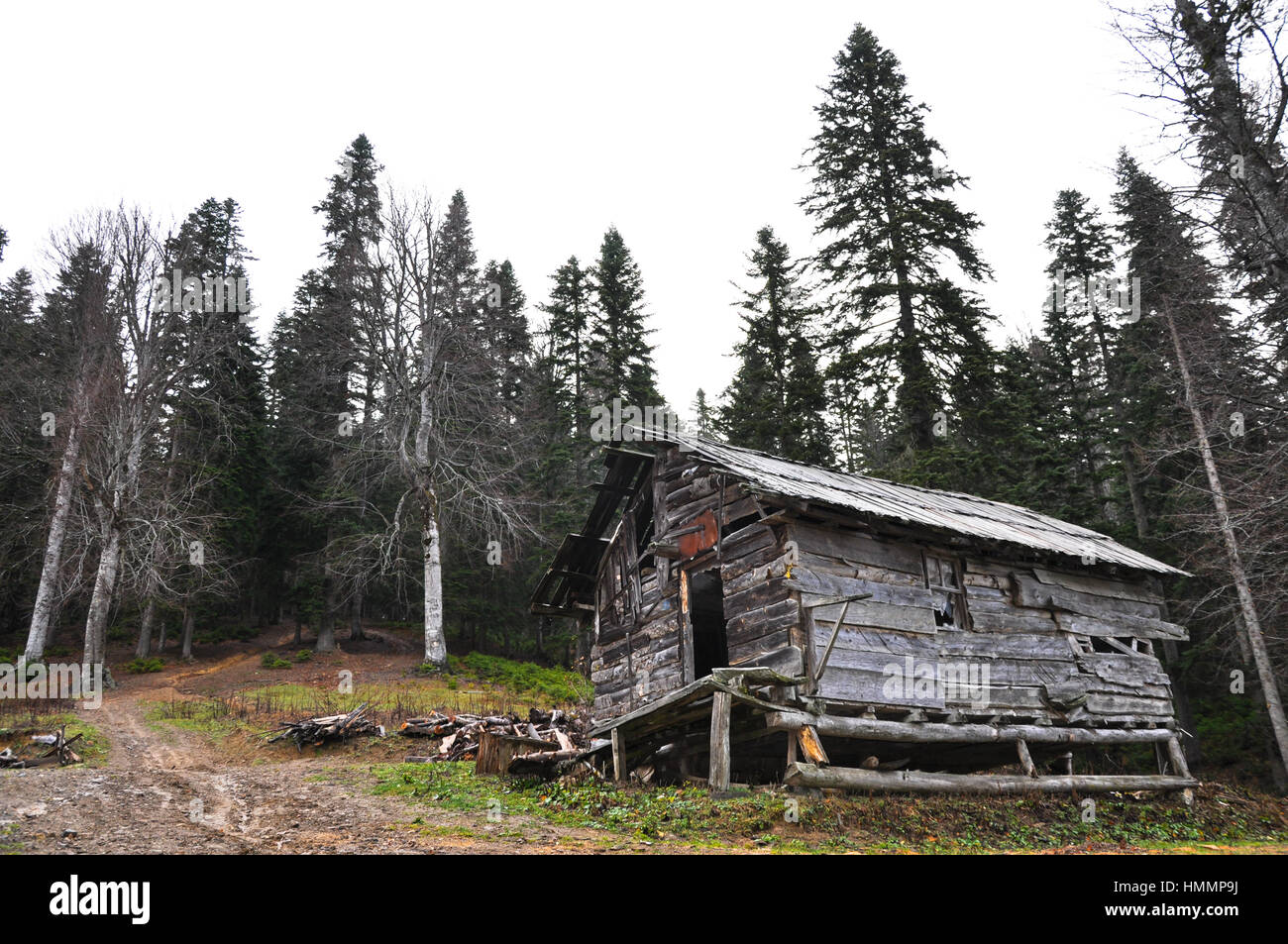 Wooden hut in the forest hi-res stock photography and images - Alamy