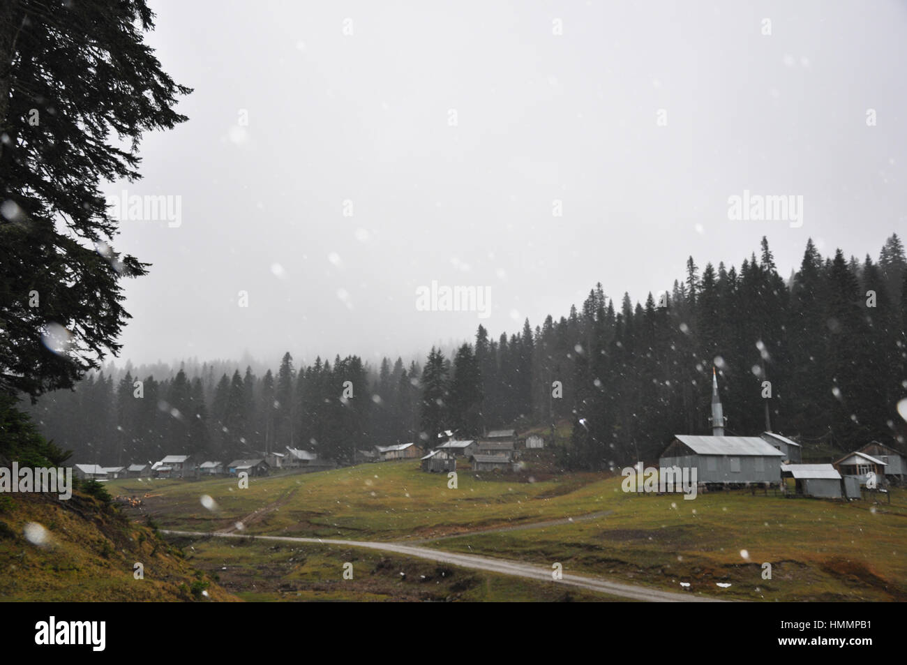 Shabby wooden hut in the forest. Early autumm day Stock Photo - Alamy