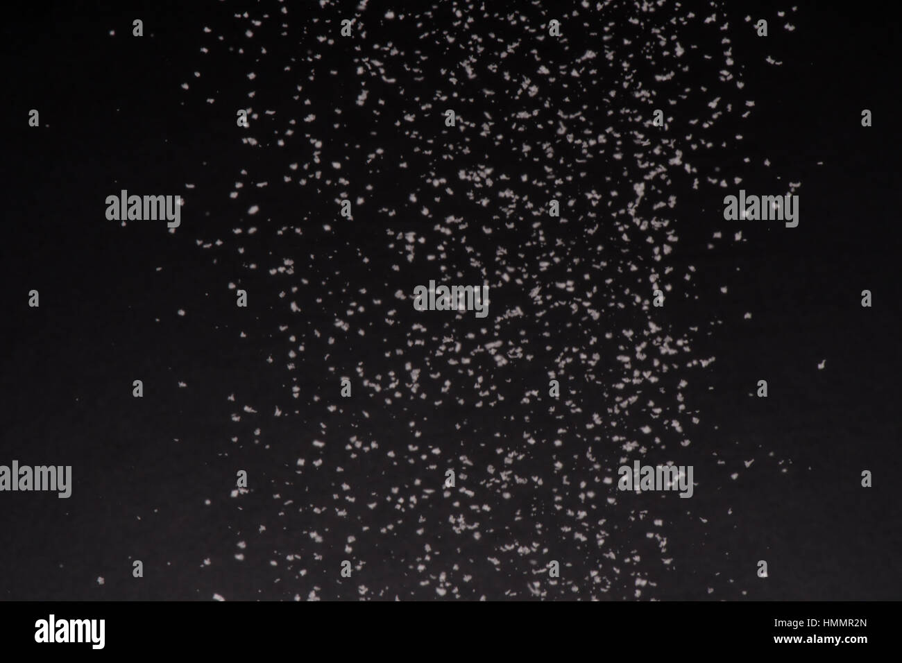 Falling Powdered Sugar against a black background Stock Photo - Alamy