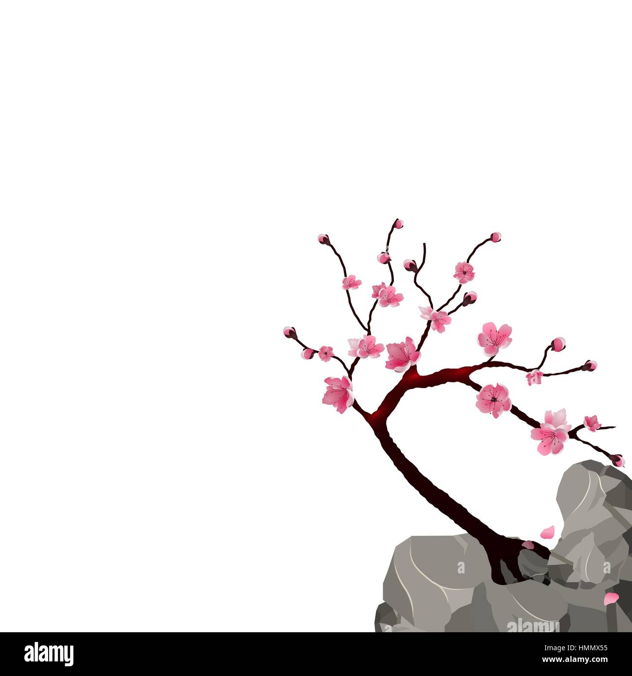 Blooming Japanese Sakura. Pink cherry tree on a cliff. Isolated on ...