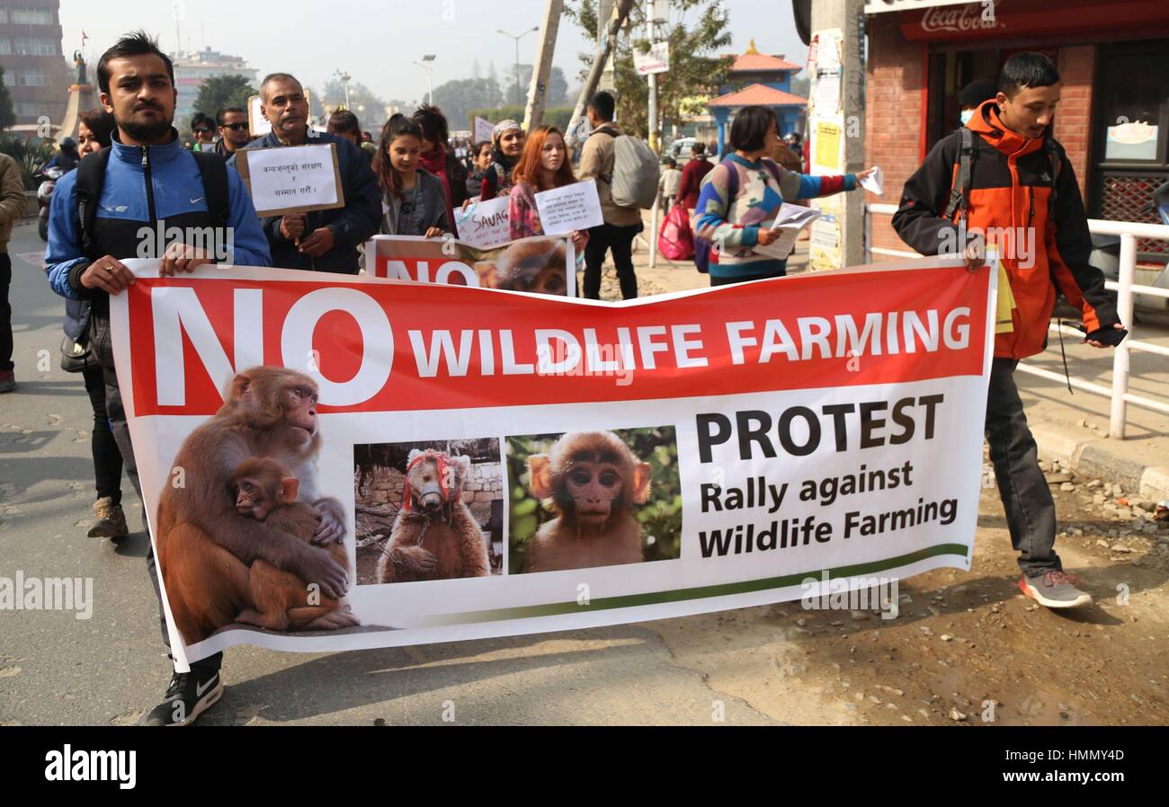 Kathmandu, Nepal. 4th Feb, 2017. Participants attend a protest rally ...