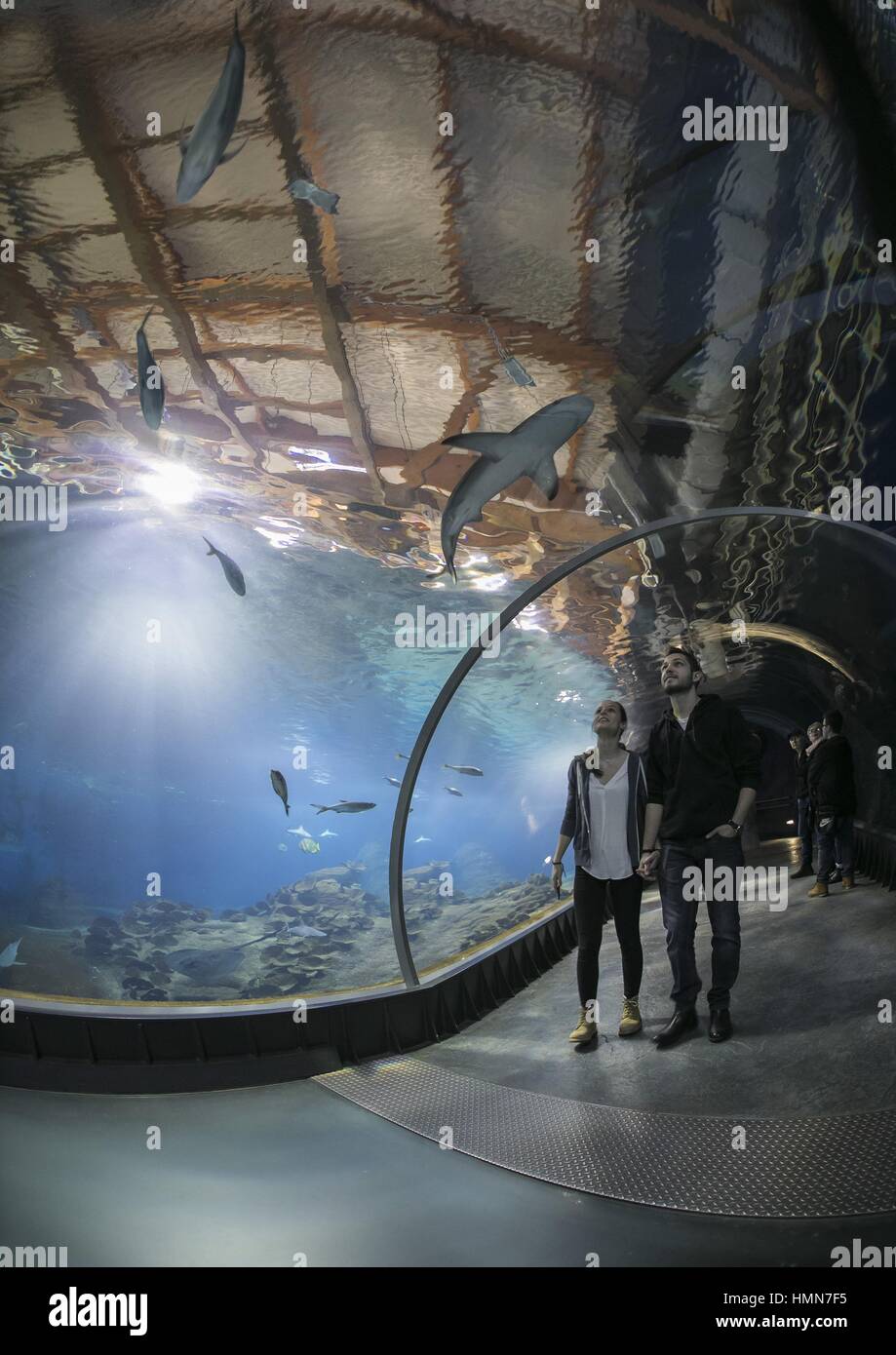 Poland's Wroclaw Afrykarium ranked fourth on the list of the seven ...