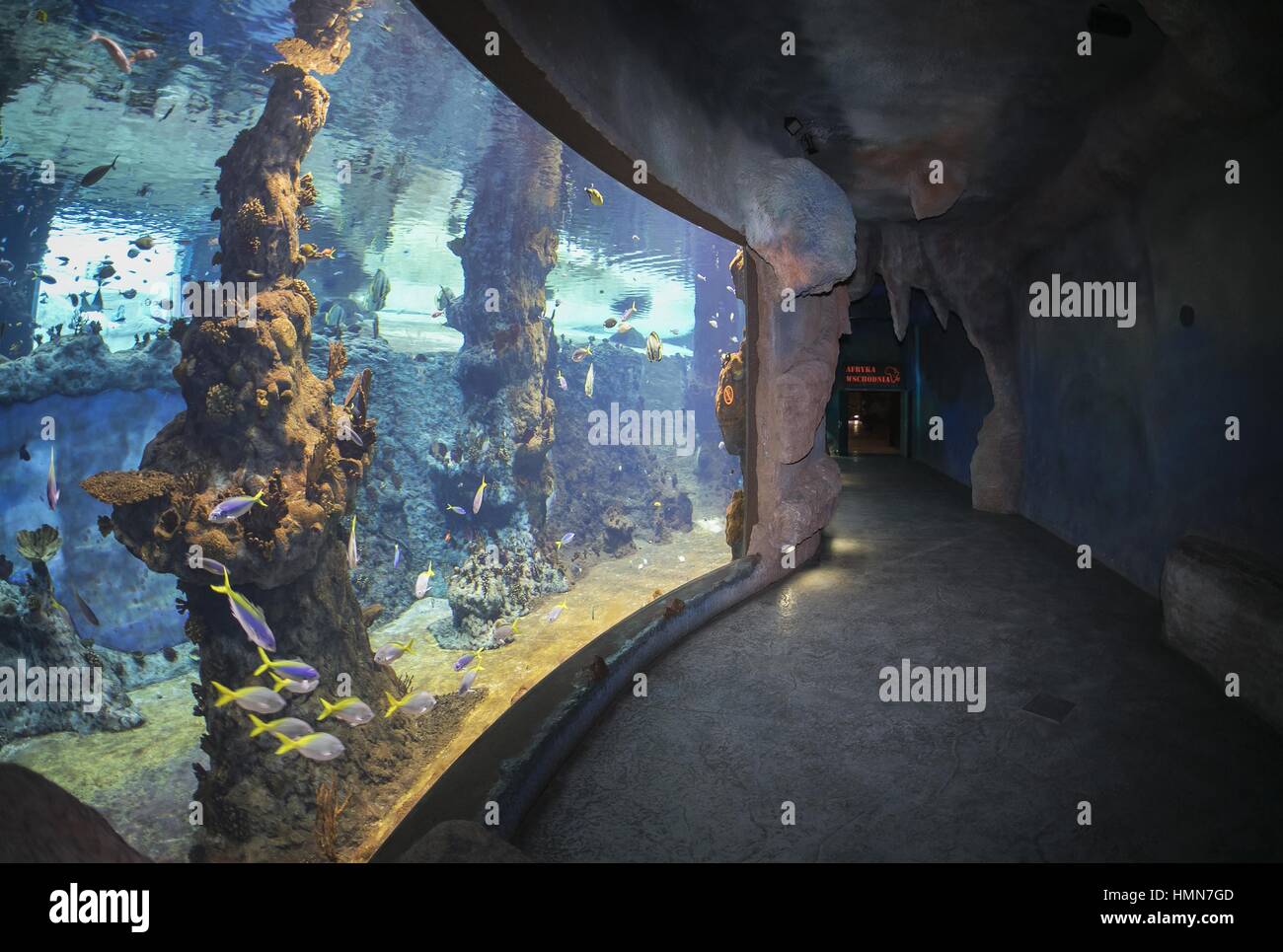Poland's Wroclaw Afrykarium ranked fourth on the list of the seven ...