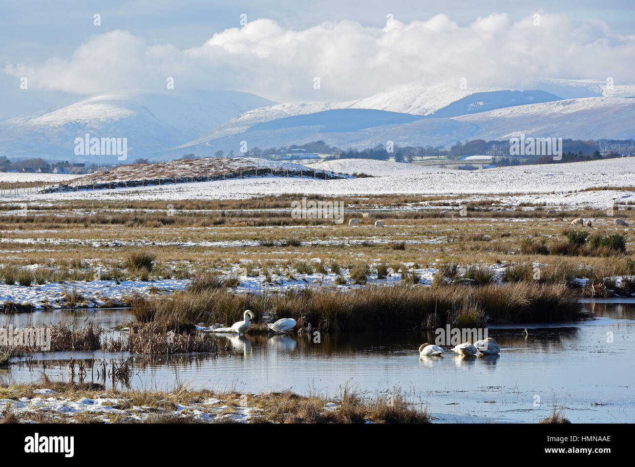 Kinross, Scotland, UK. 10th Feb, 2017. A snowy Loch Leven National ...