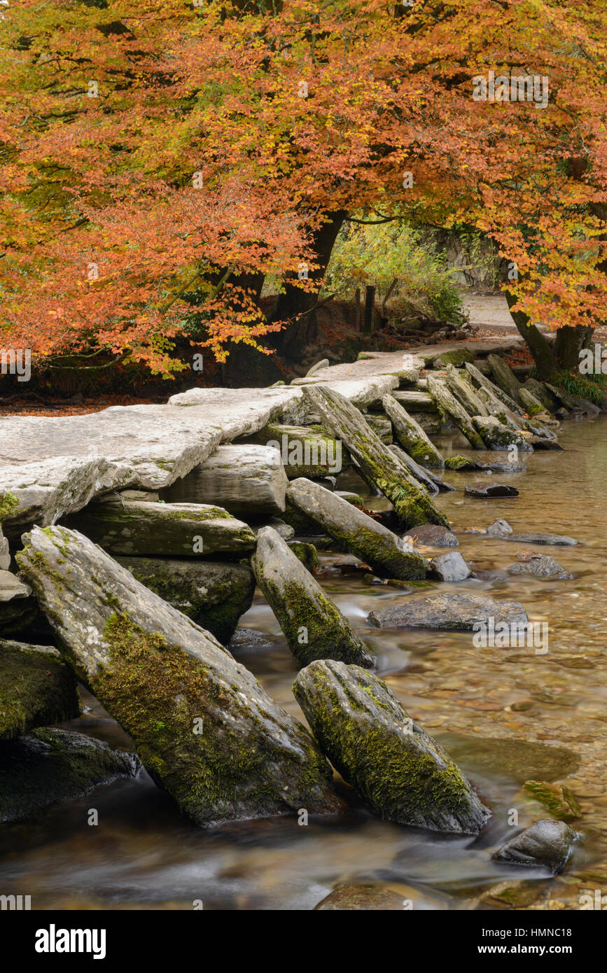 Tarr Steps, a clapper bridge crossing the River Barle on Exmoor Stock ...