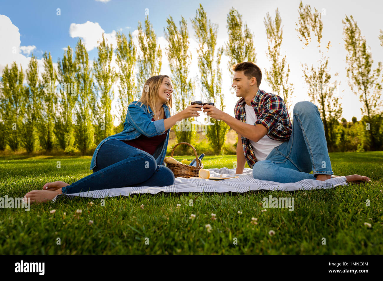 Shot of a beautiful couple on a picnic and making a toast Stock Photo ...