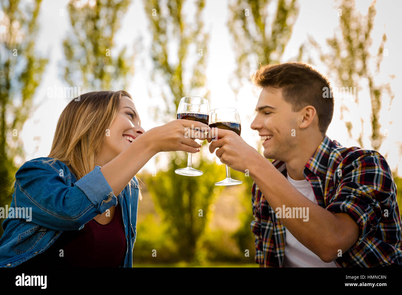 Shot of a beautiful couple on a picnic and making a toast Stock Photo ...
