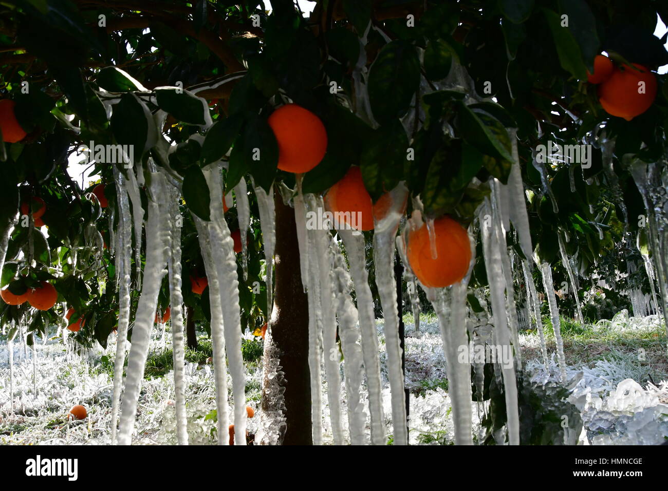 Five degrees hi-res stock photography and images - Alamy