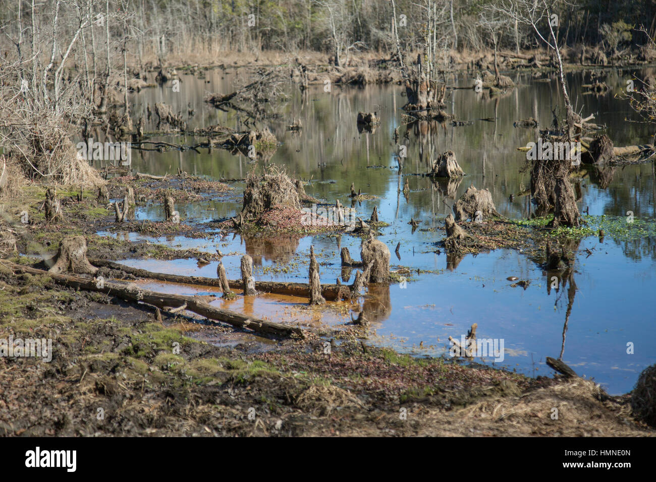 Town of autryville hi-res stock photography and images - Alamy