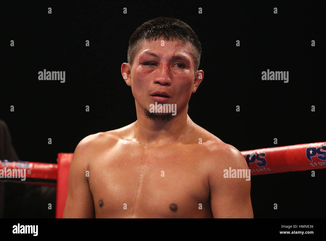 Joseph agbeko hi-res stock photography and images - Alamy