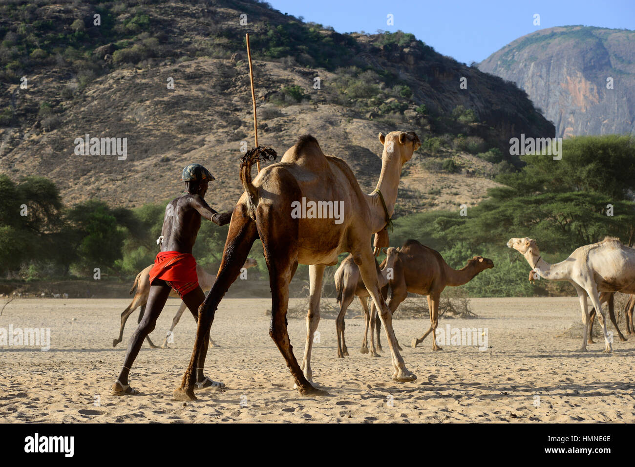 KENYA Marsabit, Samburu pastoral tribe, Samburu village Ngurunit ...