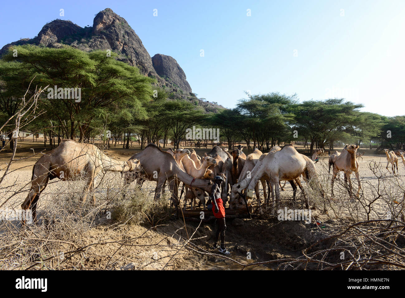 KENYA Marsabit, Samburu pastoral tribe, Samburu village Ngurunit ...