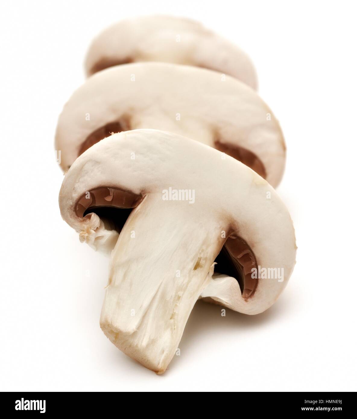 Close up mushrooms hi-res stock photography and images - Alamy