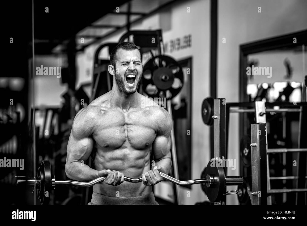Young adult bodybuilder doing weight lifting in gym while screaming ...