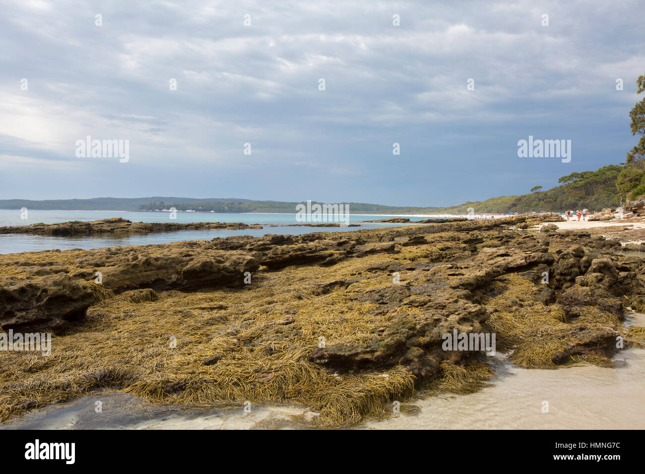 Hyams Beach voted worlds whitest sand, south coast of New South Wales ...