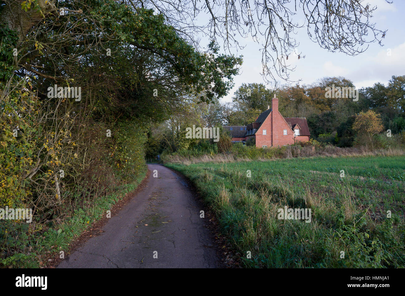 country lane england uk Stock Photo - Alamy