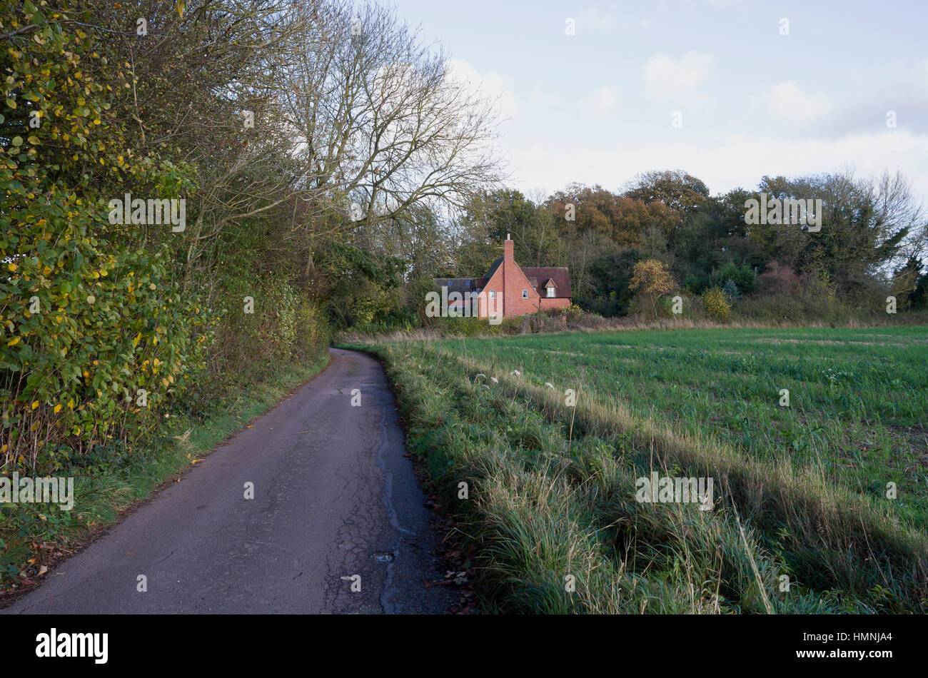country lane england uk Stock Photo - Alamy