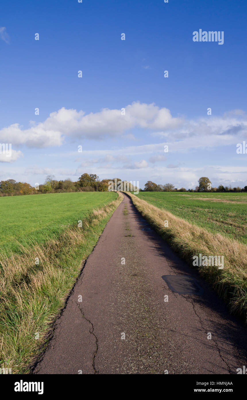 country lane england uk Stock Photo - Alamy
