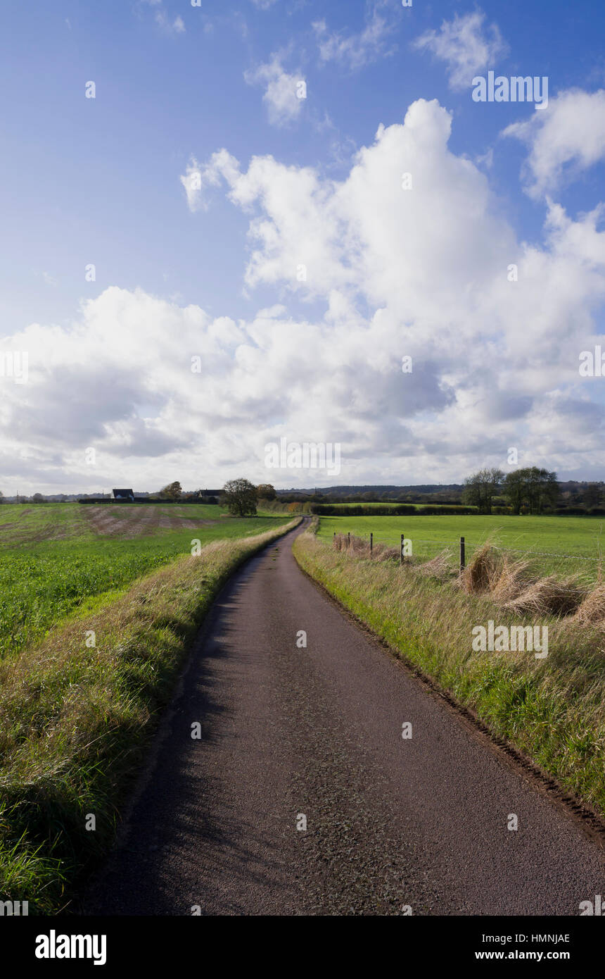 country lane england uk Stock Photo - Alamy