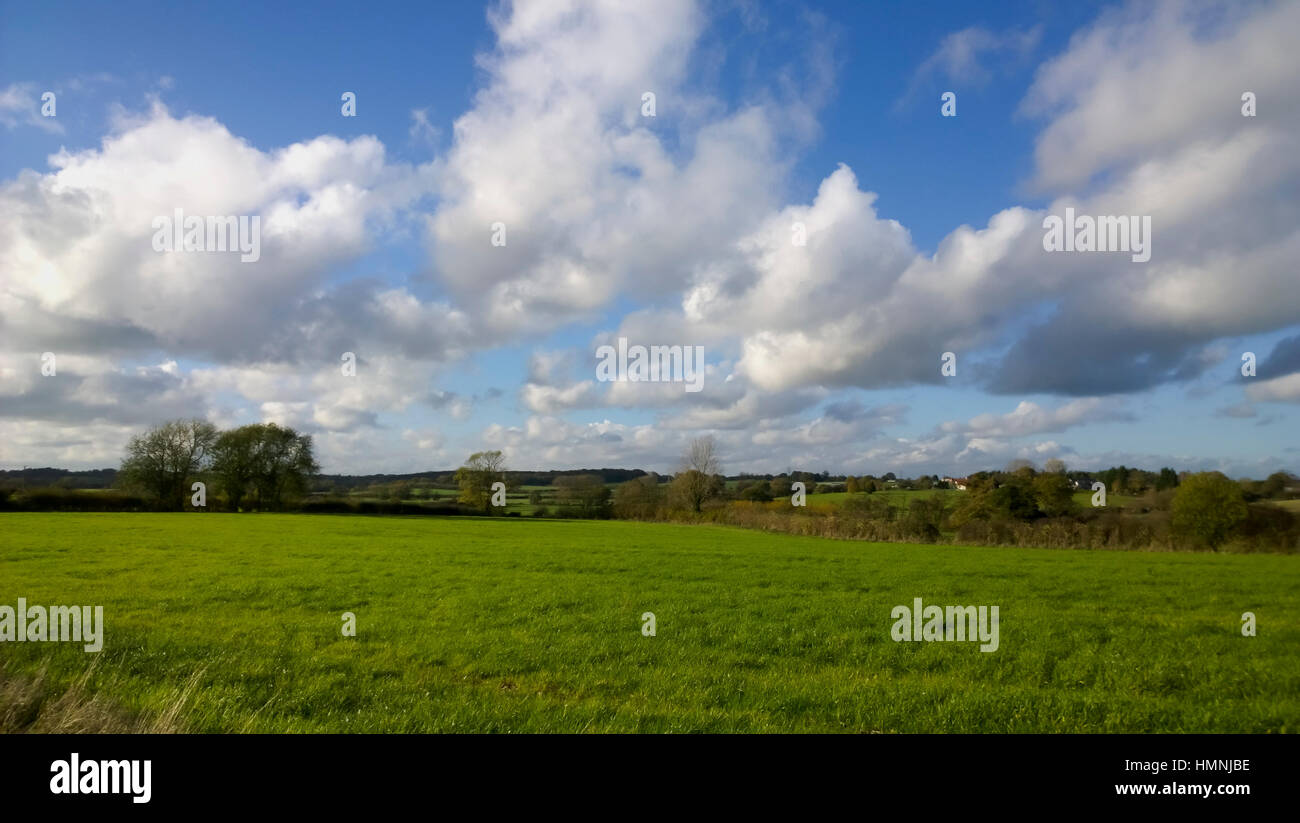 generic english farmland Stock Photo - Alamy