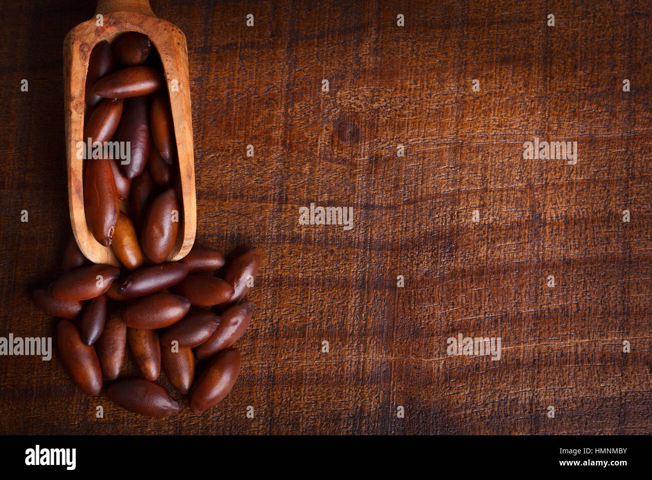 Baru almond (Cumaru, Cumbaru, Barujo, Coco-feijao, Cumarurana) on ...