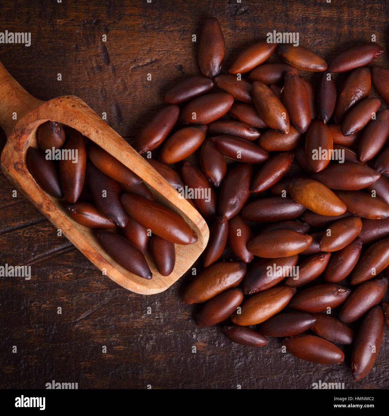 Baru almond (Cumaru, Cumbaru, Barujo, Coco-feijao, Cumarurana) on ...