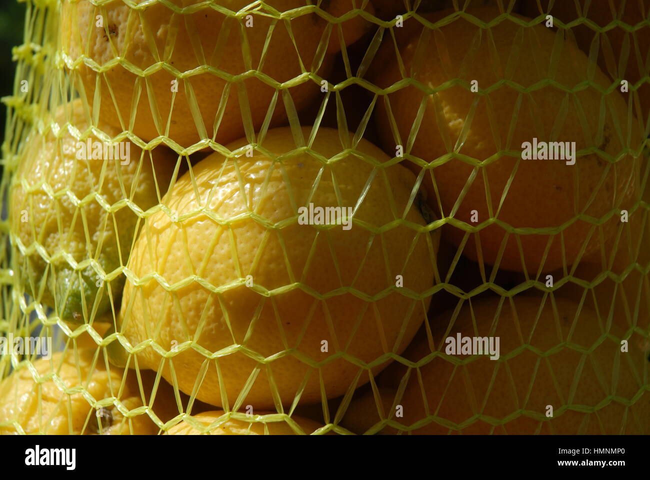 Lemons in a mesh bag Stock Photo - Alamy