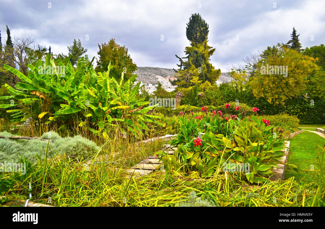 Diomides botanical garden of Greece Stock Photo - Alamy