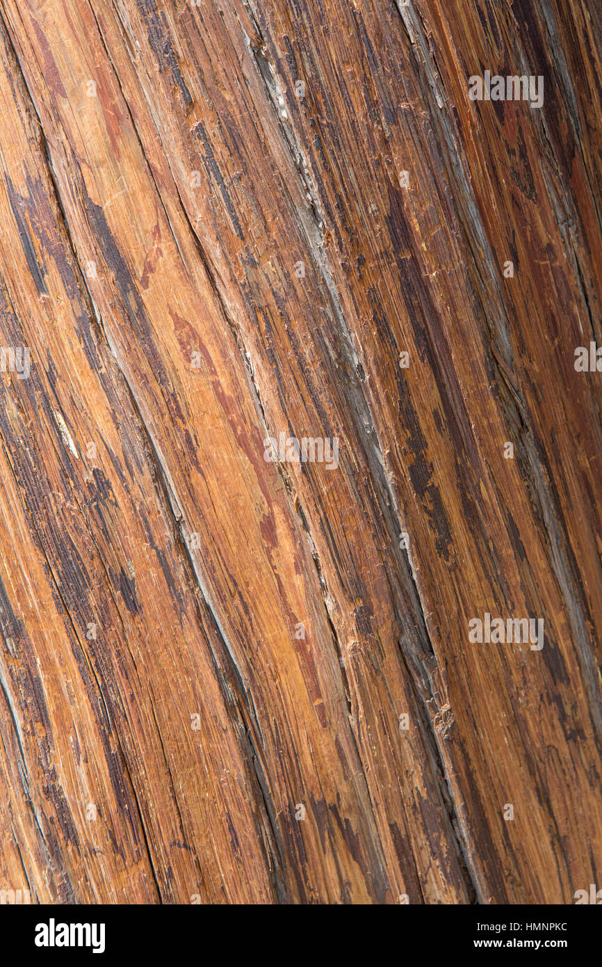 Striation texture hi-res stock photography and images - Alamy