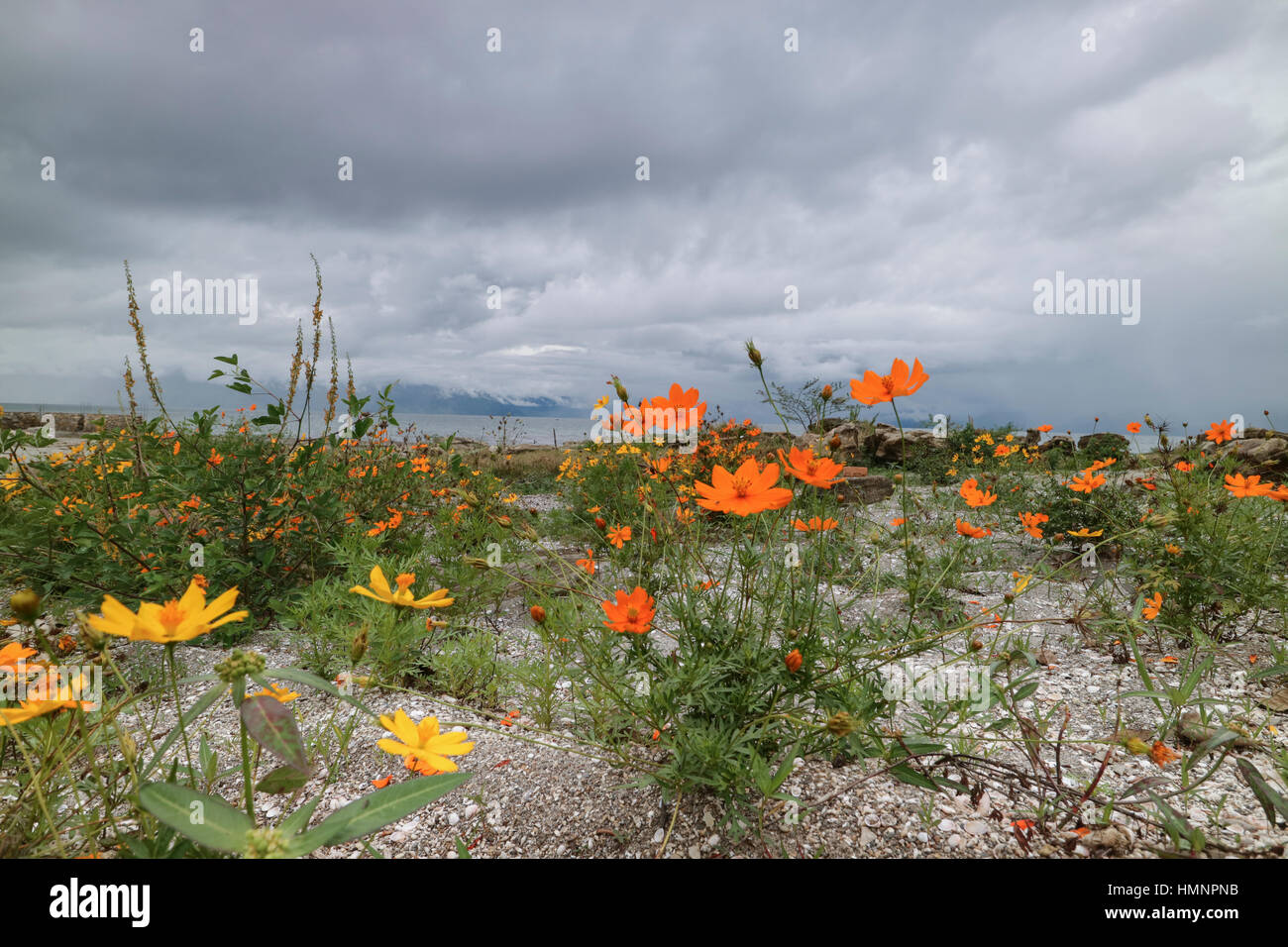 Batu Hoda beach in Toba Lake. Toba lake is a tekto-volcanic lake ...