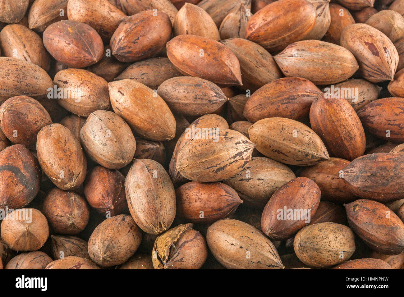 Peacan nuts hi-res stock photography and images - Alamy