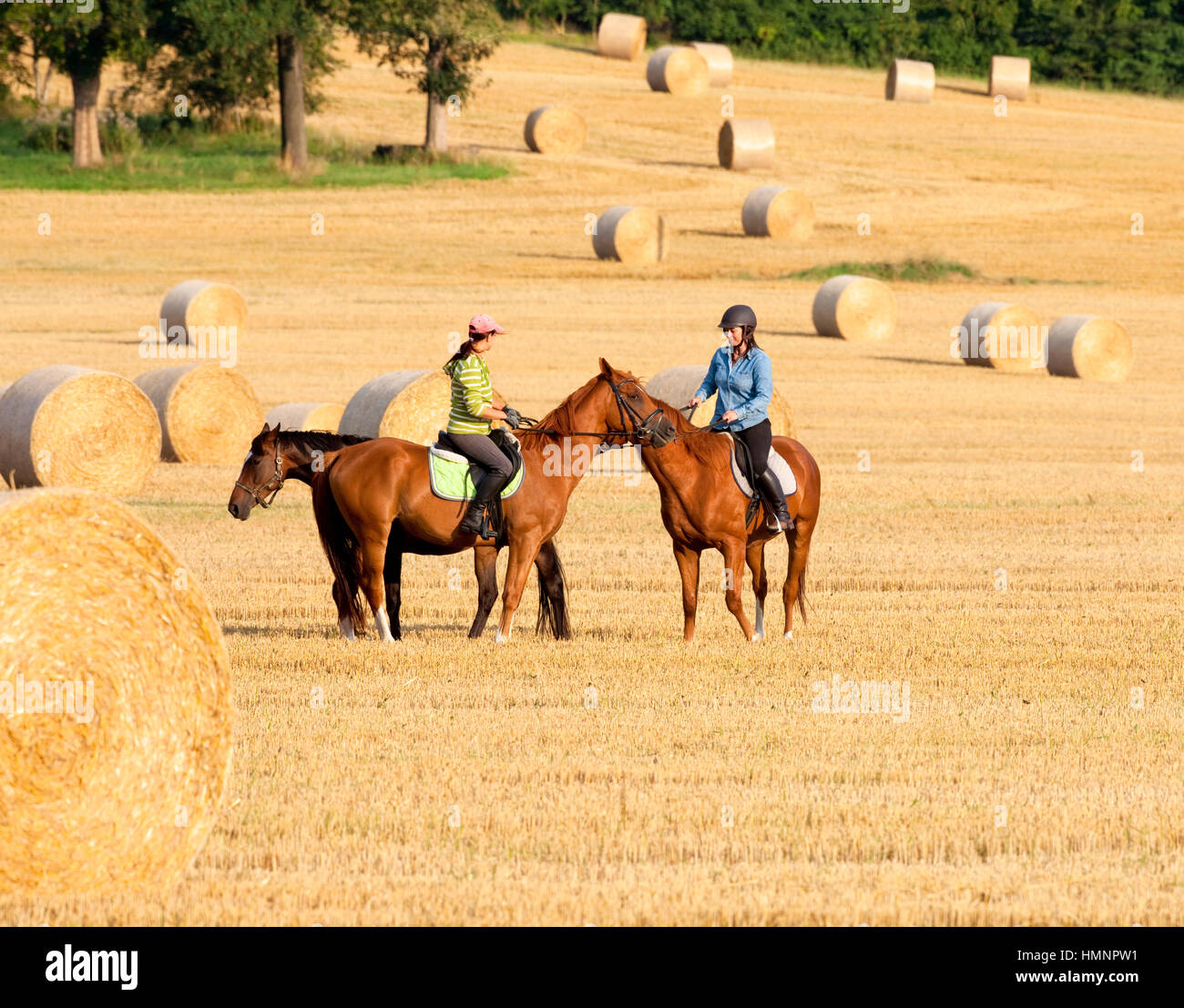 Two Women Horseback Riding in a Landscape Stock Photo - Alamy