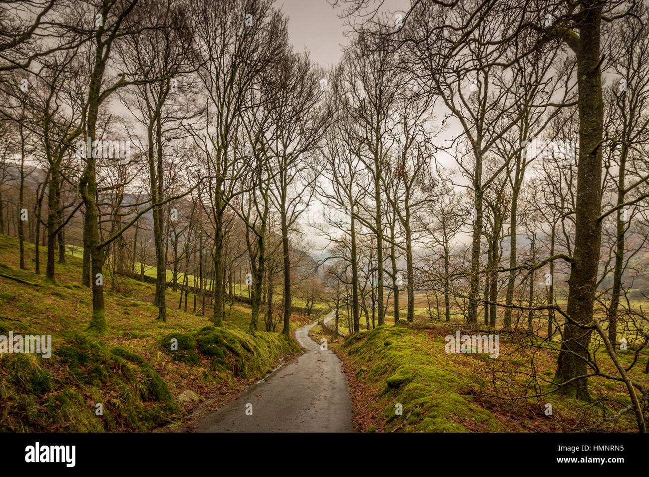 Howe woods hi-res stock photography and images - Alamy