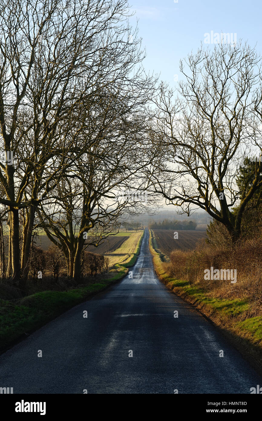 The road to Odsey Stock Photo - Alamy