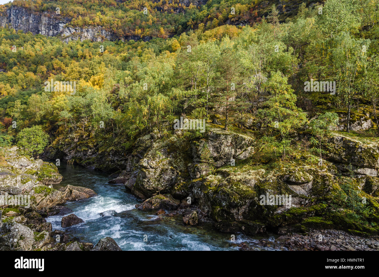 View of the mountain river. Norway Stock Photo - Alamy