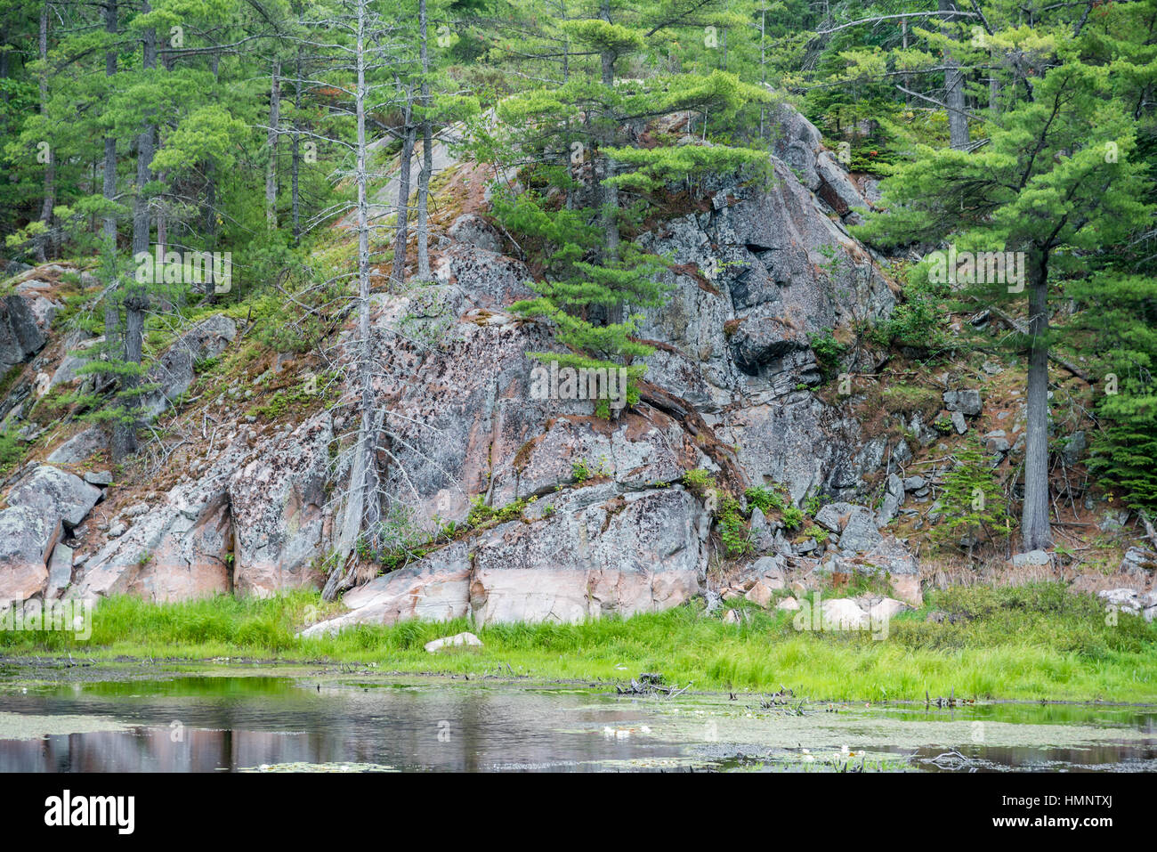 Summer in muskoka hi-res stock photography and images - Alamy
