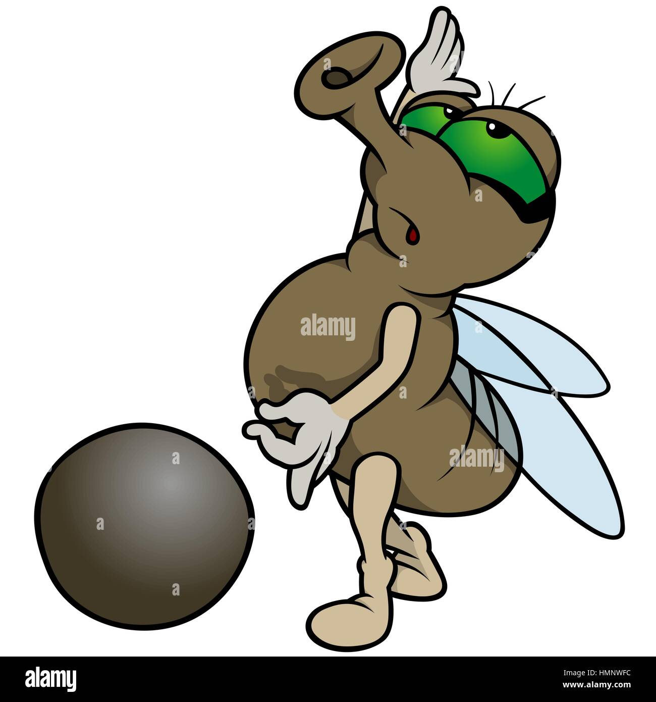 Animal house fly ball hi-res stock photography and images - Alamy