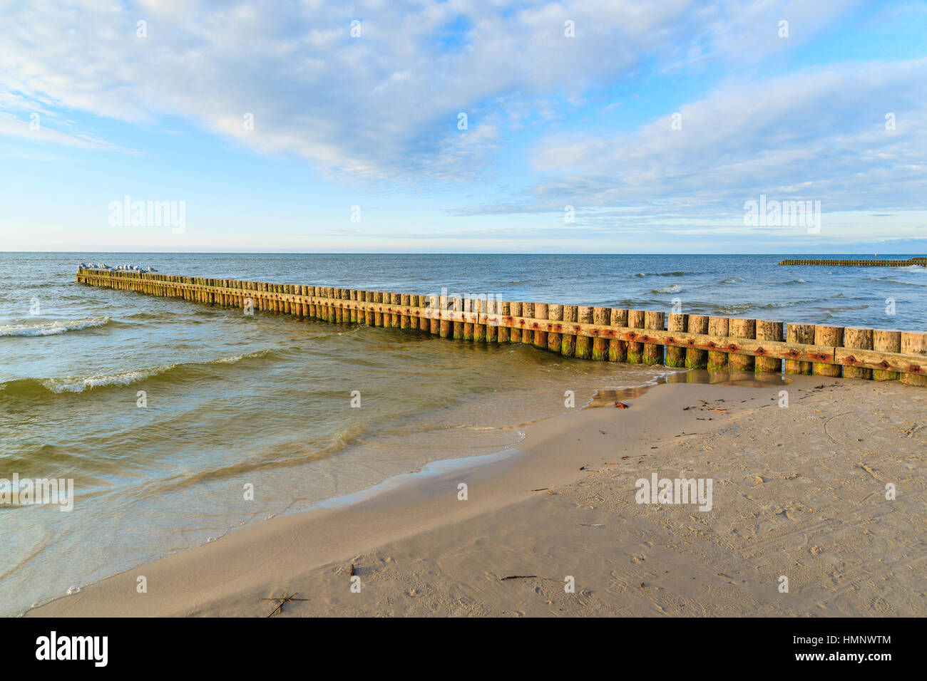 Wooden breakwaters on Leba beach during sunny day with clouds, Baltic ...