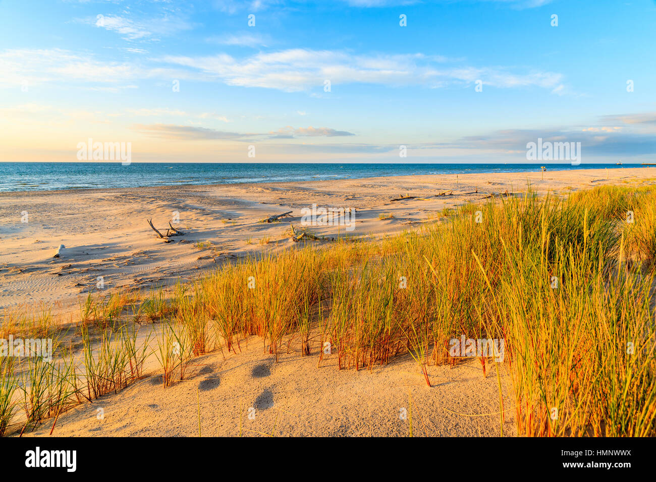 Grass on sand dune in sunset golden colors on Leba beach, Baltic Sea ...