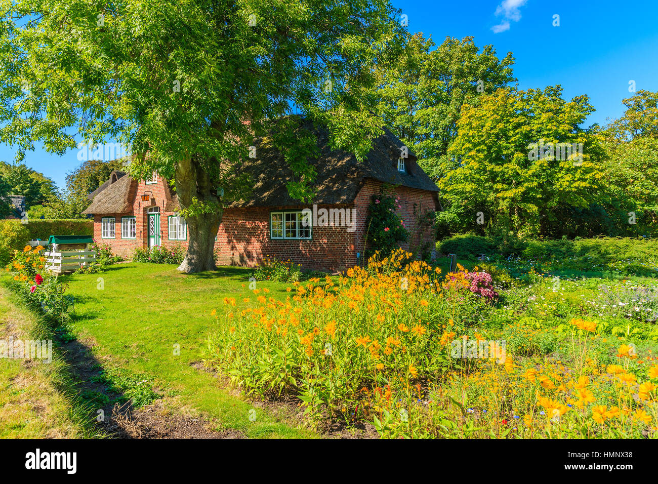 Typical red brick Frisian house with straw roof in Keitum village on ...