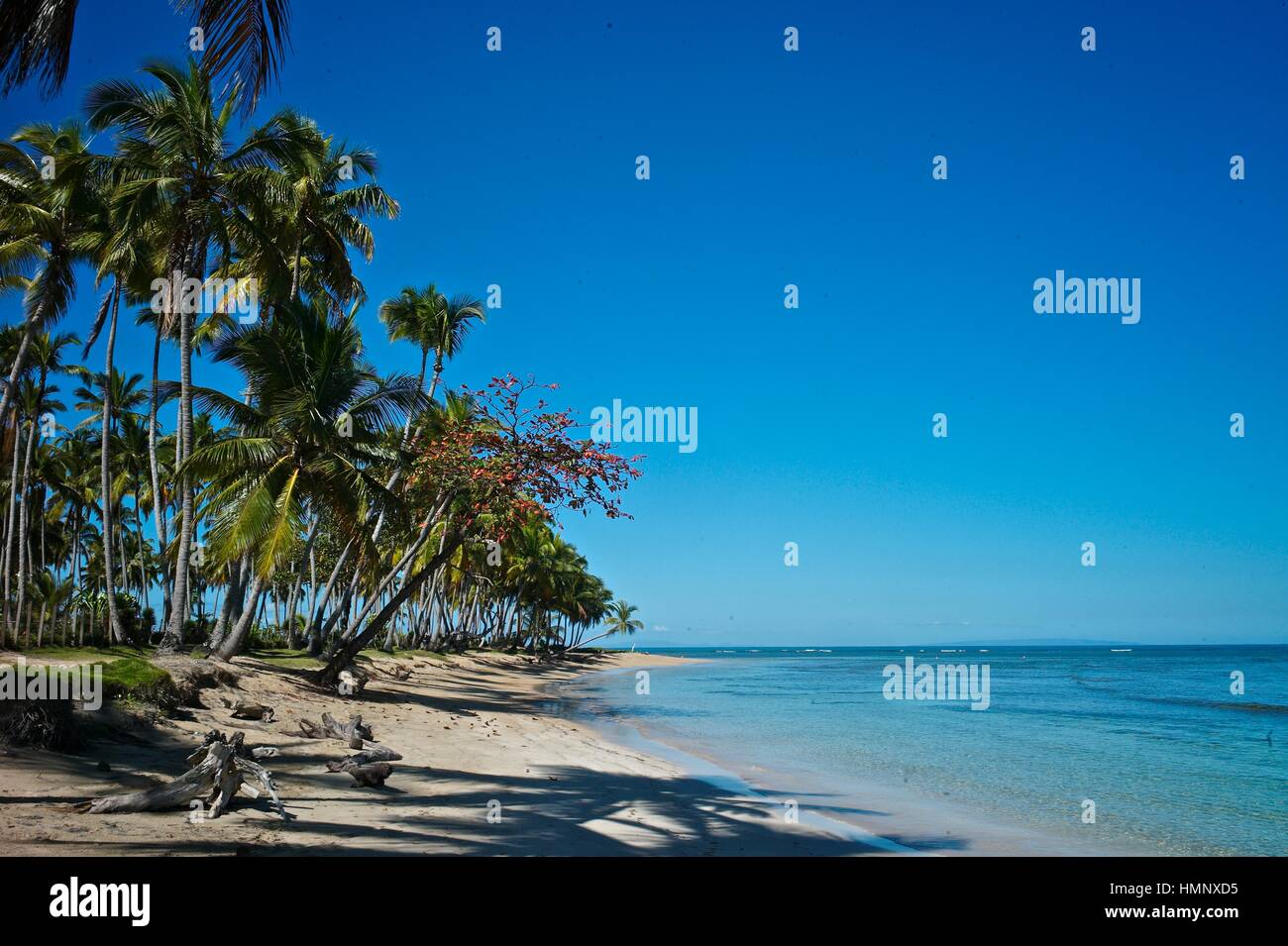 Playa bonita las terrenas hi-res stock photography and images - Alamy