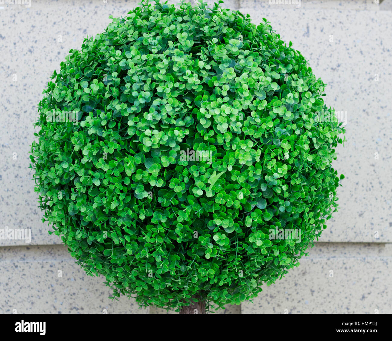 green trees in circle Stock Photo - Alamy